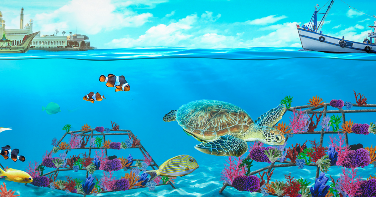 Reimagine coral restoration to reduce sea level changes | NXplorers