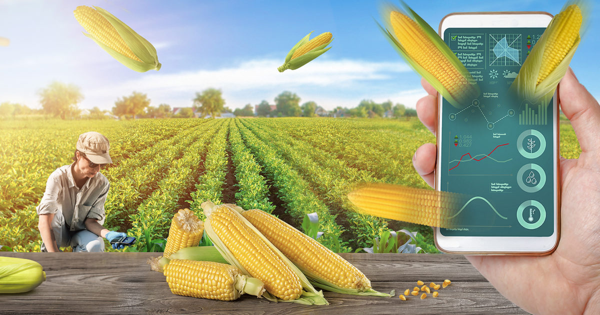 Reimagine soil testing test | NXplorers