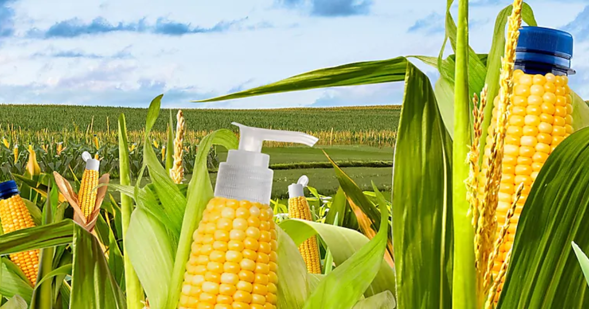 Reimagine corn husks as eco-friendly packaging | NXplorers