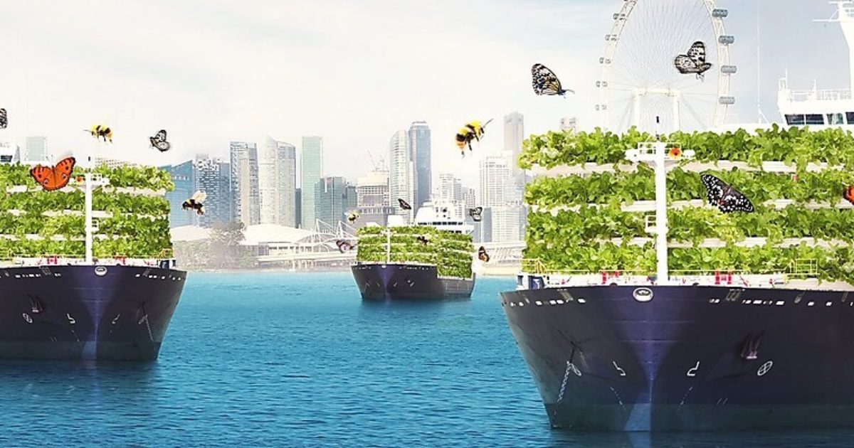 Reimagine ocean surfaces as floating farms | NXplorers