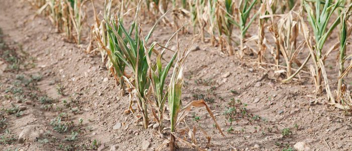 The Nexus | NXplorers